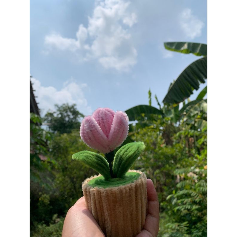 Jual [COD] Mini Tulip | Pipe Cleaner | Bunga Kawat Bulu Pot | Shopee ...