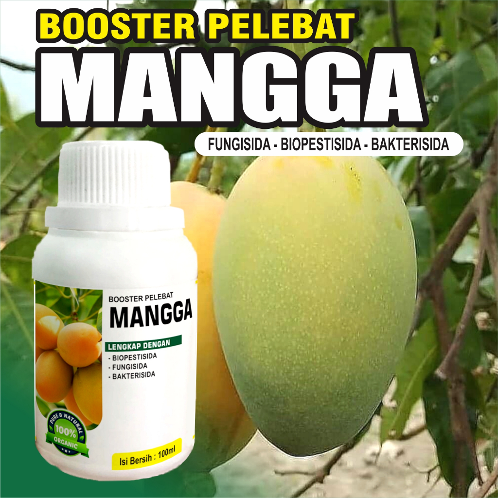 Jual Pupuk Booster Mangga Pelebat Organik Cepat Berbuah Lebat 100ml murni fermentasi organik ...