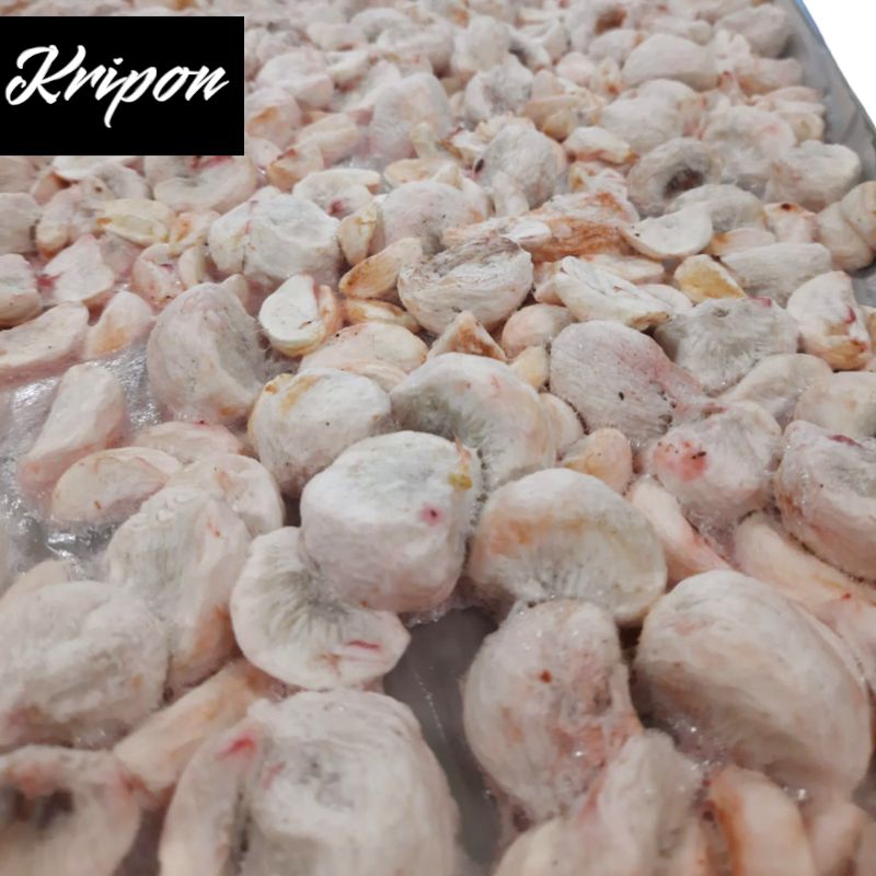 Jual Mangosteen Freeze Dried powder 100gr | Shopee Indonesia