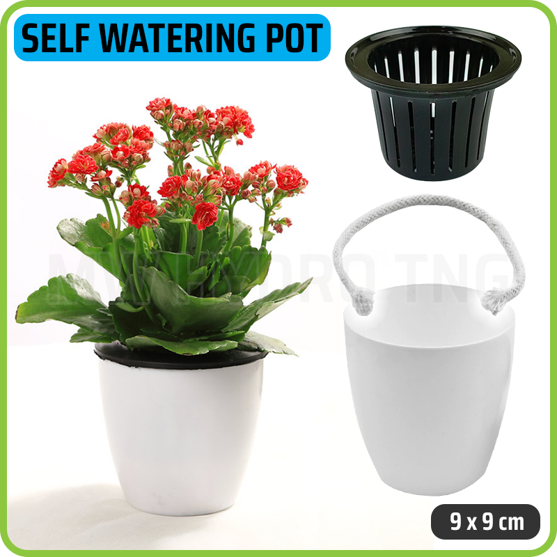 Jual Self Watering Pot Double Layer White Black, Pot Tanaman Bunga ...