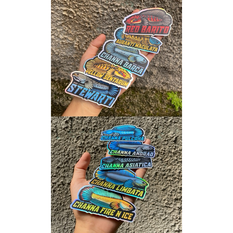 Jual STICKER CHANNA AURANTI, BARCA , STEWARTI , MARULIODES, ASIATICA ...