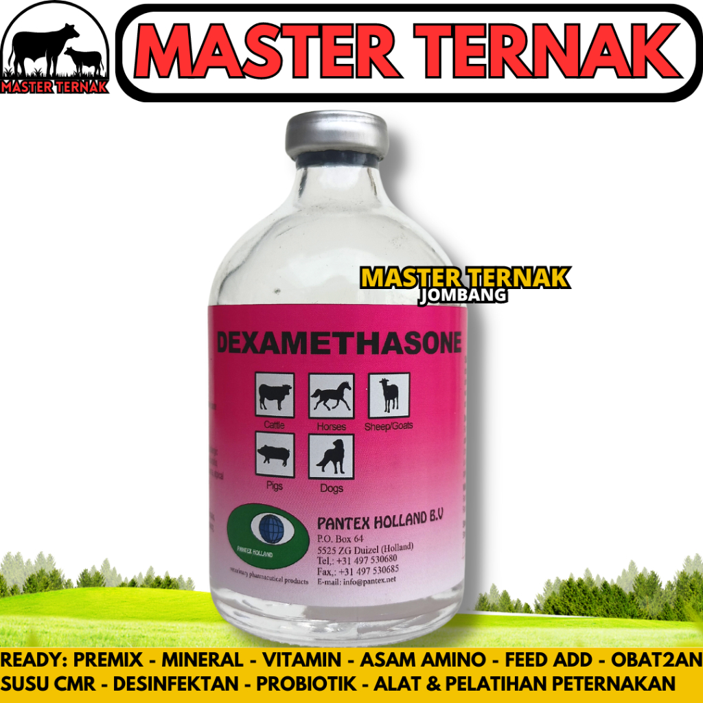 Jual PANTEX DEXAMETHASON 100 ML - Obat Anti Inflamasi Ternak Pantex ...