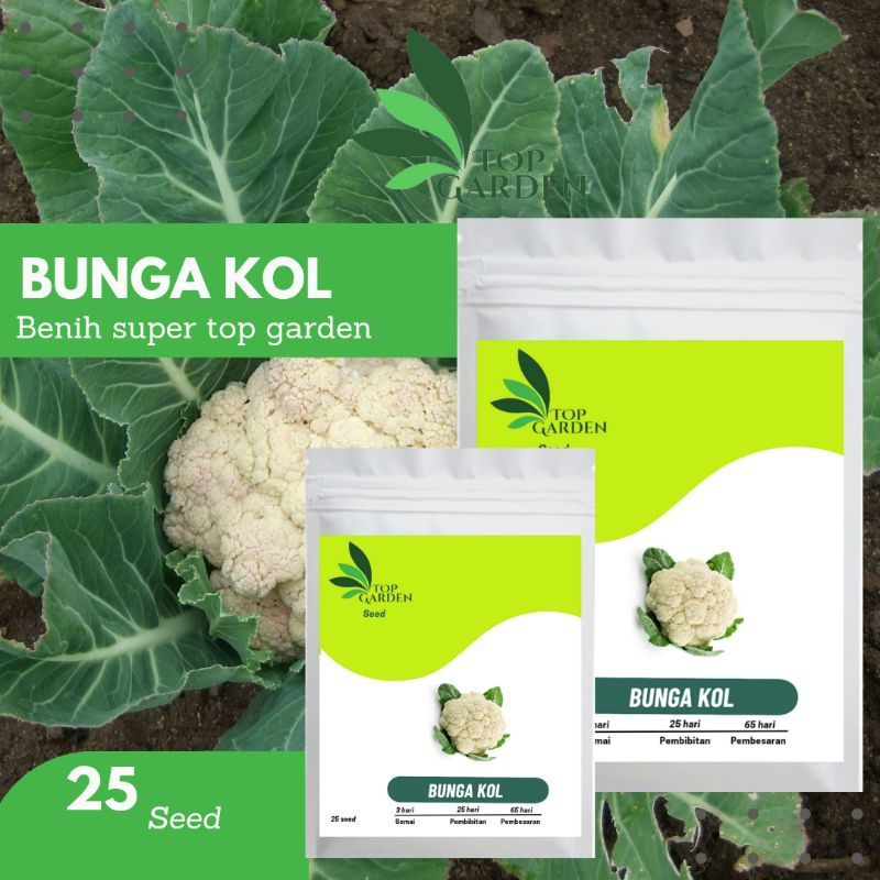 Jual TOP GARDEN BIJI BENIH SAYURAN BUNGA KOL BIBIT KEMBANG KOL | Shopee ...