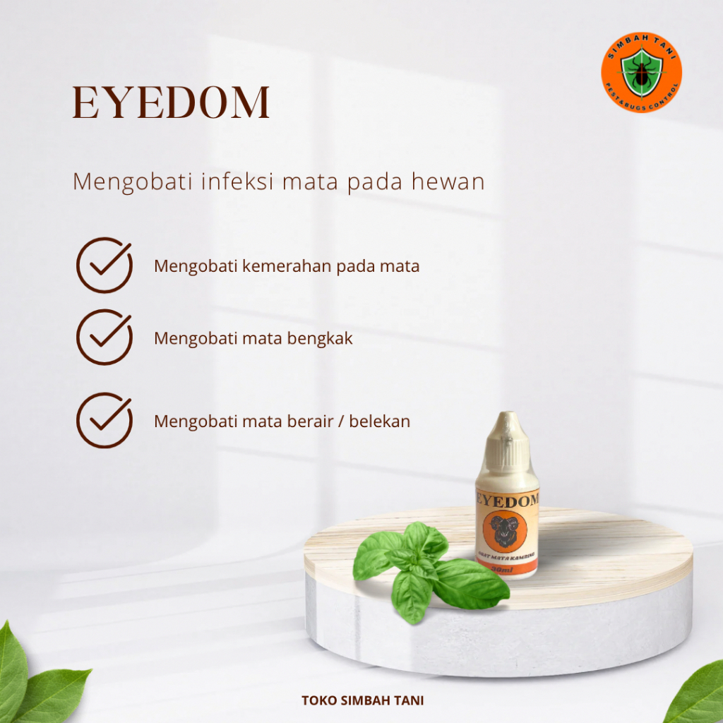 Jual EYEDOM - Tetes Mata Belekan Khusus Kambing Domba Sapi | Shopee ...