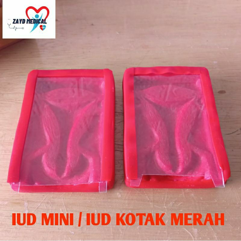 Jual PHANTOM/ MANIKIN/ MANEKIN IUD KOTAK MERAH | Shopee Indonesia