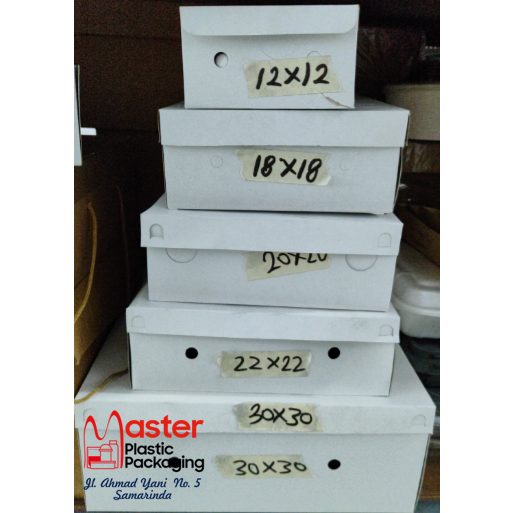 Jual Snack Box / Kotak Kue / Kotak Nasi Putih TPS - 10 Pcs | Shopee ...