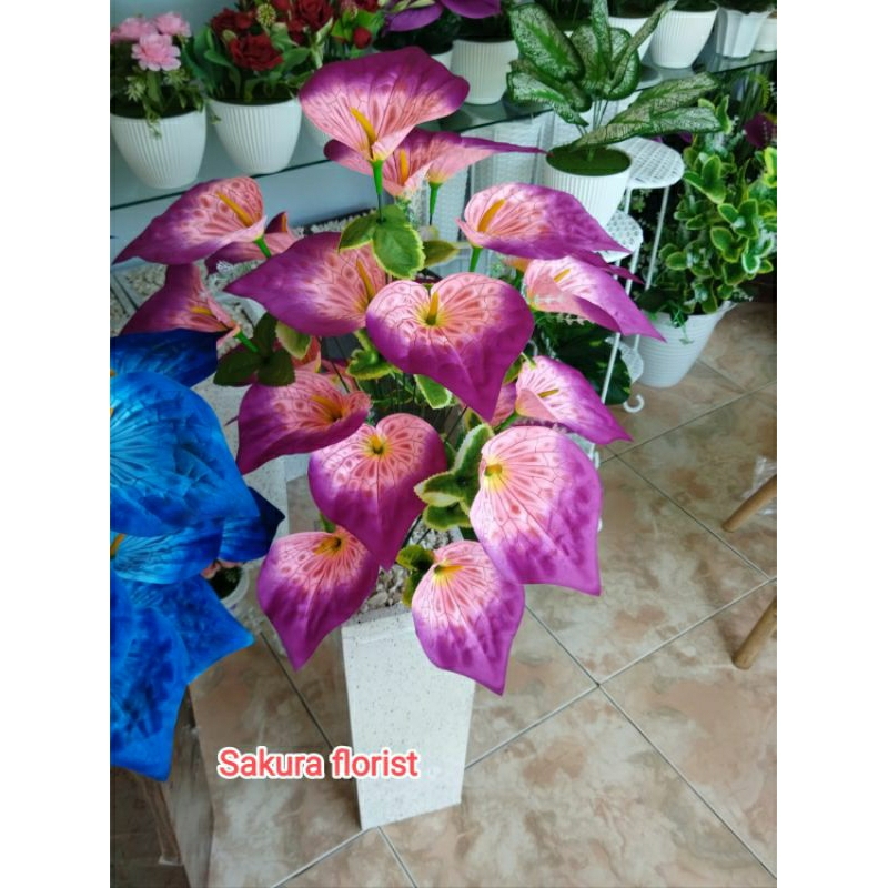 Jual BUNGA SUDUT LILY | Shopee Indonesia