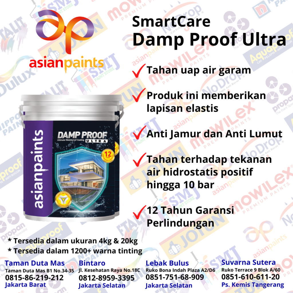Jual ASIANPAINTS SMARTCARE DAMP PROOF ULTRA CAT PELAPIS ANTI BOCOR ...