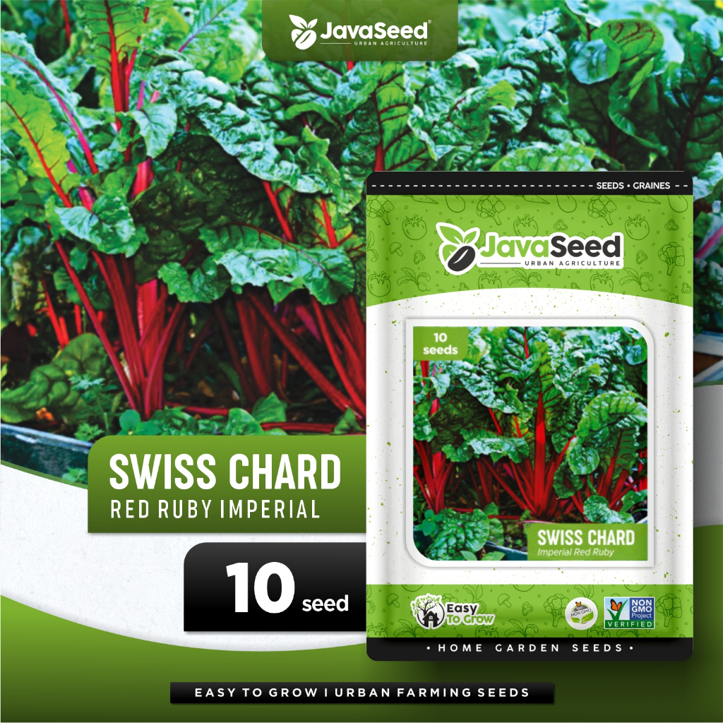 Jual JAVASEED - Benih Daun Merah Swiss Chard Red Imperial Ruby 10 Benih ...