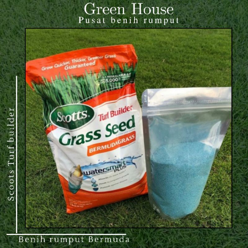 Jual Scotts® Import Usa Benih Rumput Gajah Mini Jepang Swiss Bermuda Golf Repack 10gram