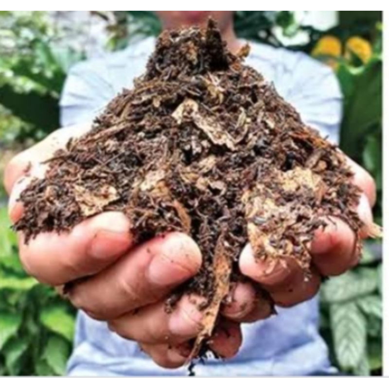 Jual Media tanam pupuk HUMUS DAUN BAMBU FERMENTASI | Shopee Indonesia