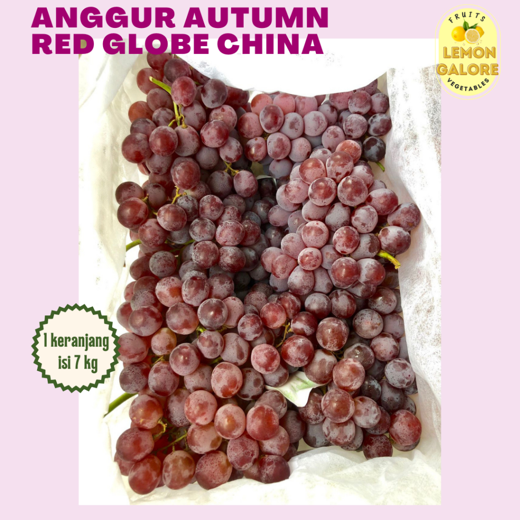 Jual Anggur Red Globe China Seedless / Premium Grape Import Manis RRC 7 ...