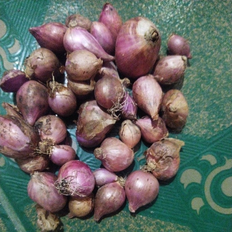 Jual bawang merah 500gr caruk | Shopee Indonesia