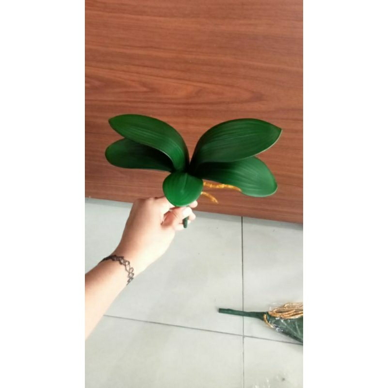 Jual Daun Anggrek Latex Kecil (DVN) | Shopee Indonesia