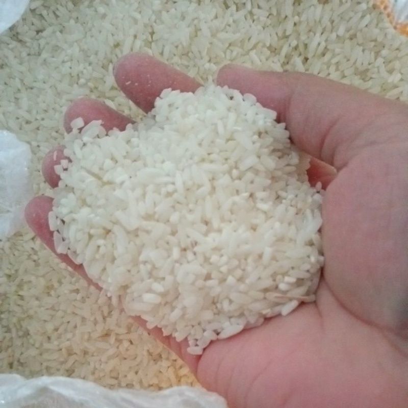 Jual Beras Hidup Bramu Organik Pegunungan 1kg | Shopee Indonesia