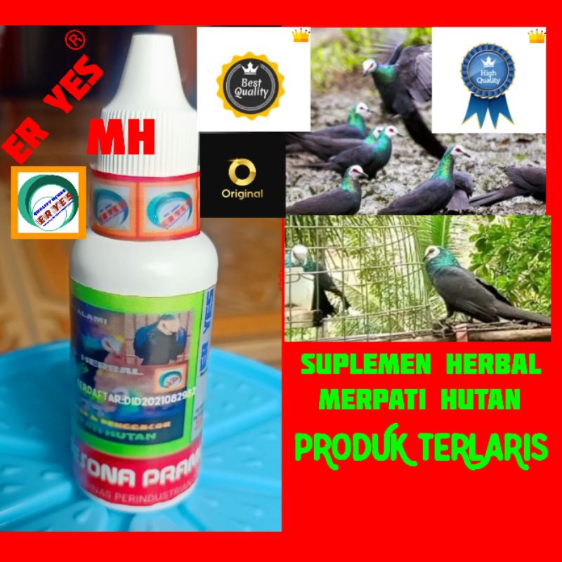 Jual MERPATI HUTAN ER YES PENJINAK & PENGGACOR CIPILI | Shopee Indonesia