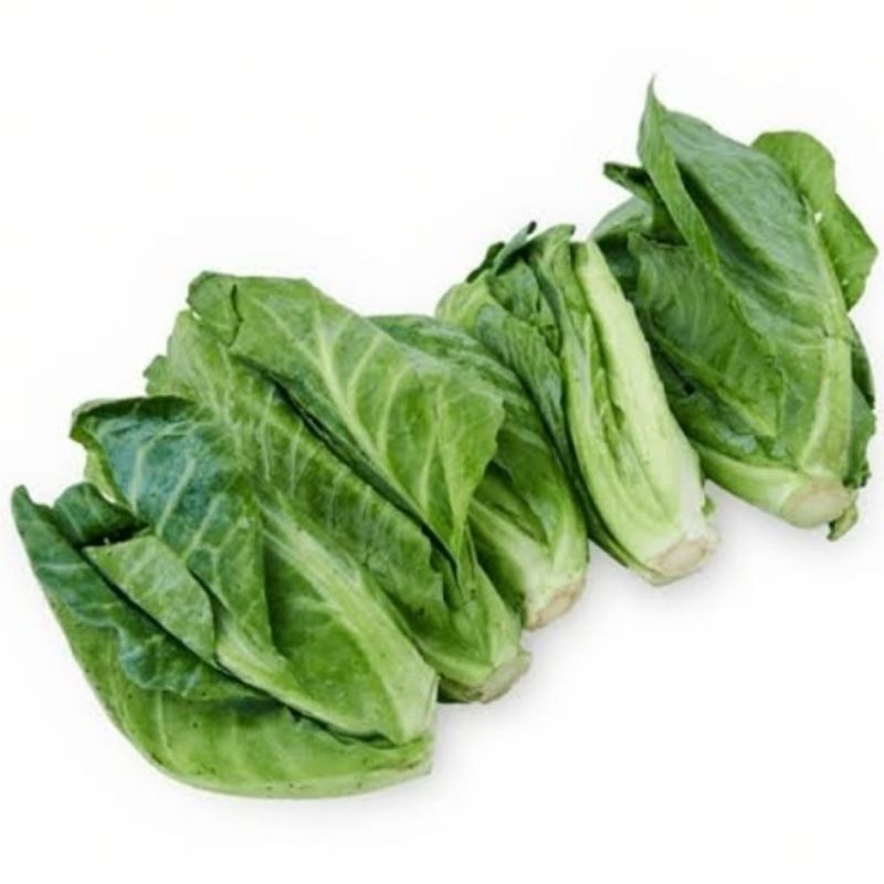 Jual ciwis/baby kol 1kg | Shopee Indonesia