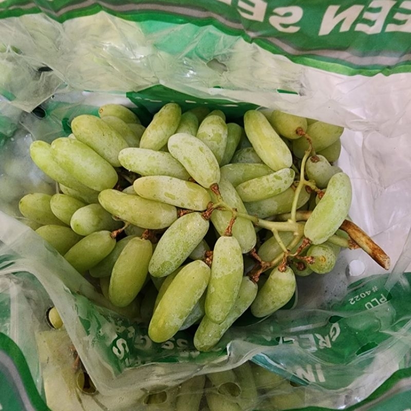 Jual Anggur hijau jari seedless 1 kg | Shopee Indonesia