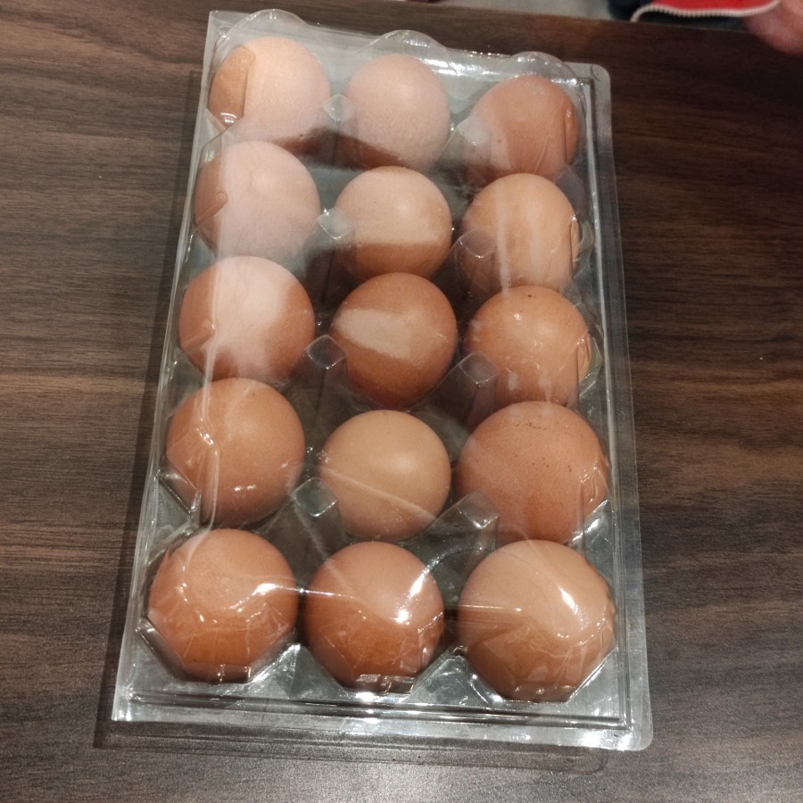 Jual HS Egg tray / Tempat Telur negeri isi 15 + mika + tanpa kunci ...