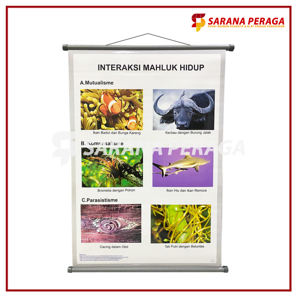 Jual SaranaPeraga - Carta Poster Gambar Interaksi Makhluk Hidup / Carta ...