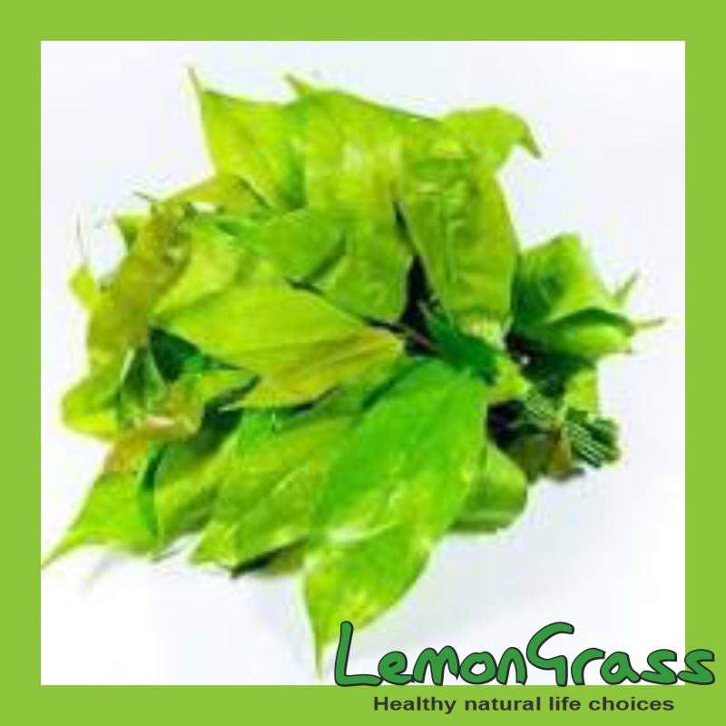 Jual Daun So Daun Melinjo Muda Segar Per pack 100gr Kirim Instan ...
