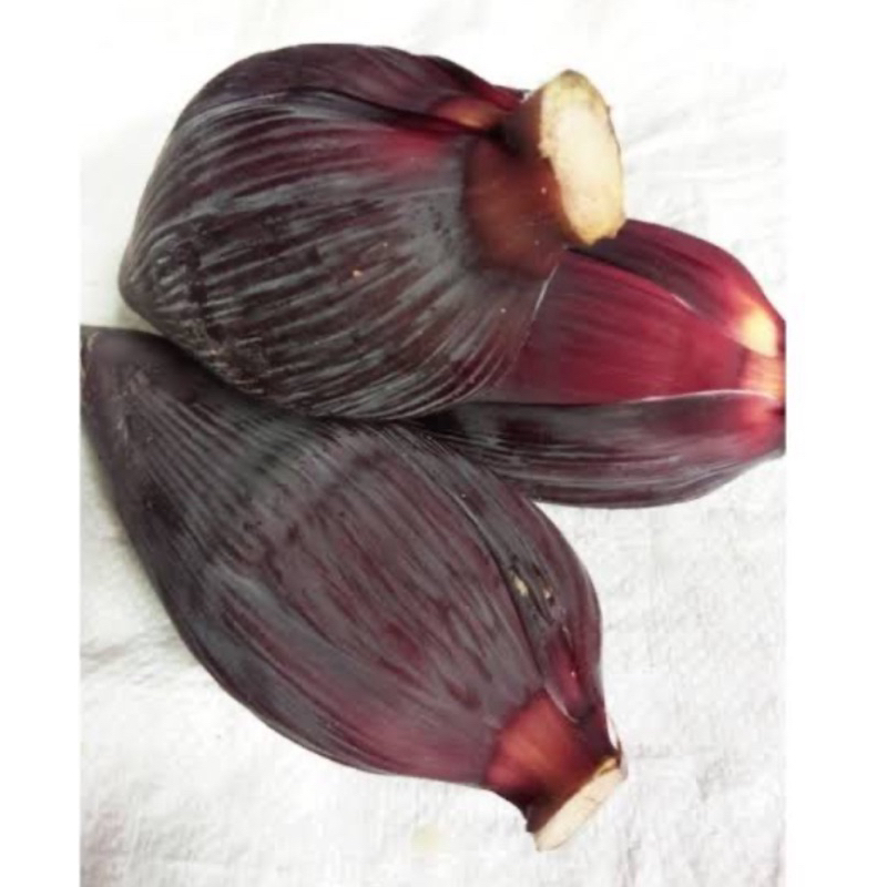 Jual Jantung pisang raja segar original organik 1 kg | Shopee Indonesia