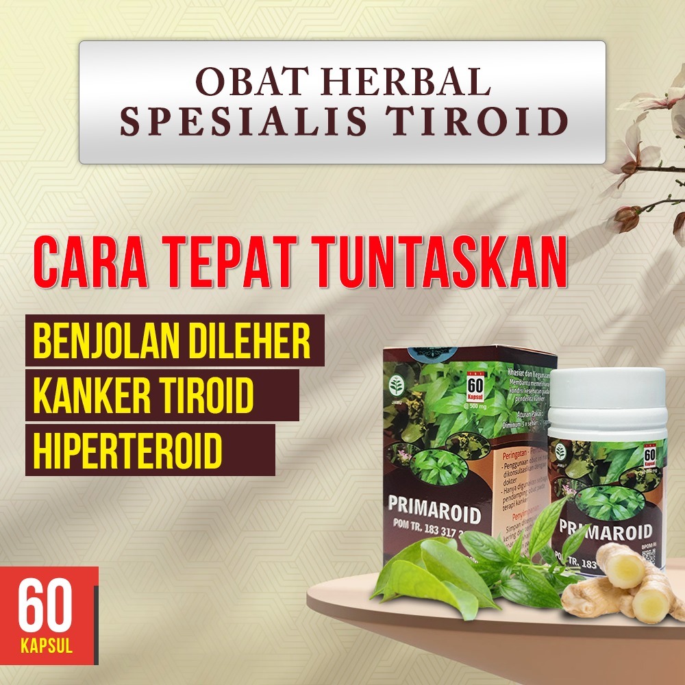 Jual PRIMAROID Obat Benjolan di Leher Tiroid Hipertiroid Hipotiroid ...