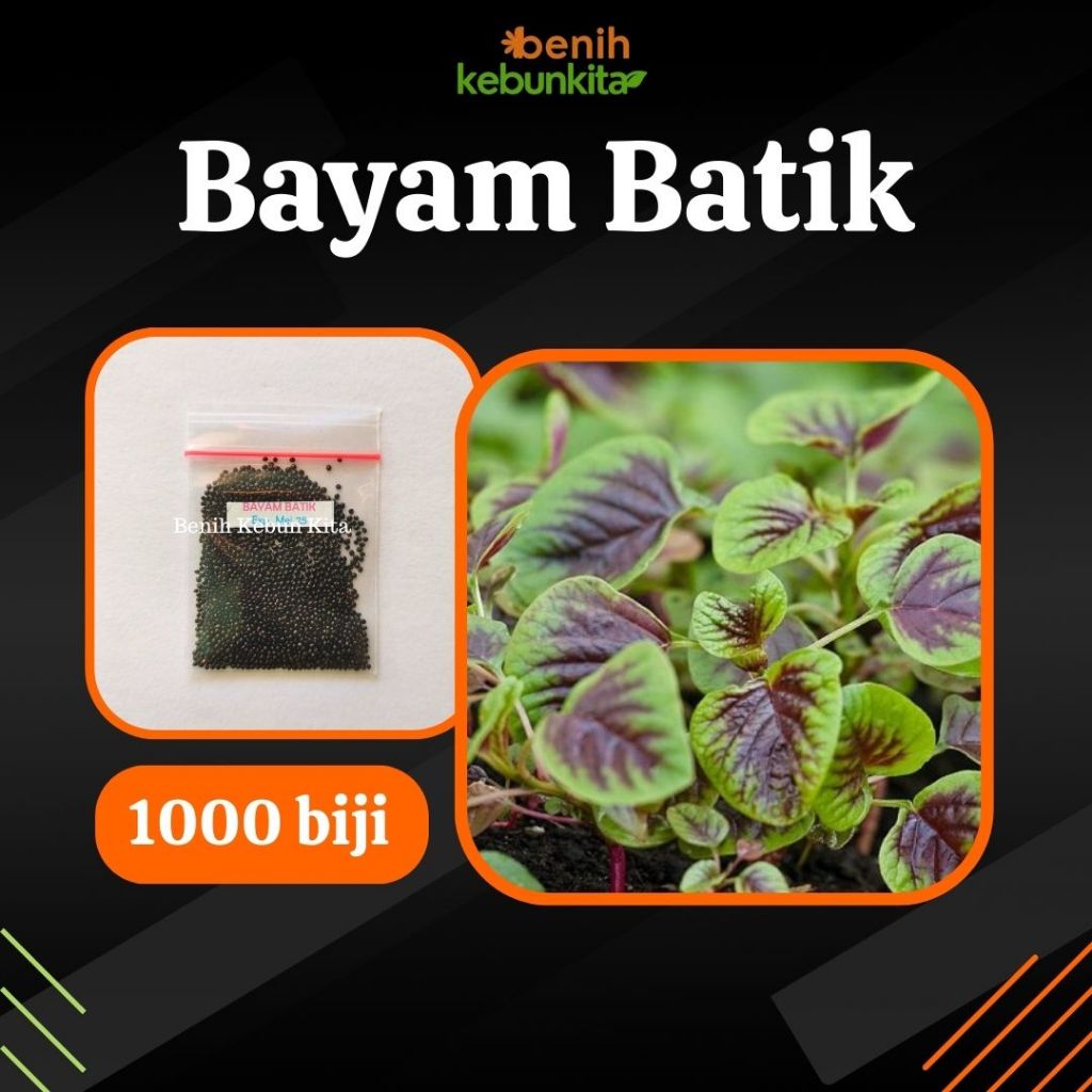 Jual Biji Benih Bayam Batik Belang Bibit Sayuran Loreng Unggul Tanaman ...