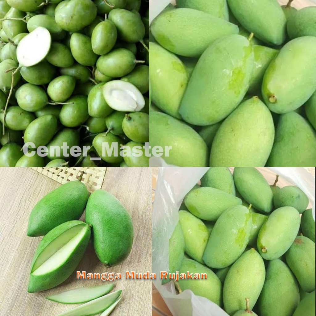 Jual mangga muda 1 kg/ mangga rujak buah mangga / buah segar mangga ...