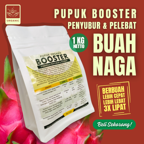 Jual 1Kg Pupuk Padat Booster Pelebat Buah Naga Penyubur Penumbuh Perangsang Pembuahan Tanaman ...