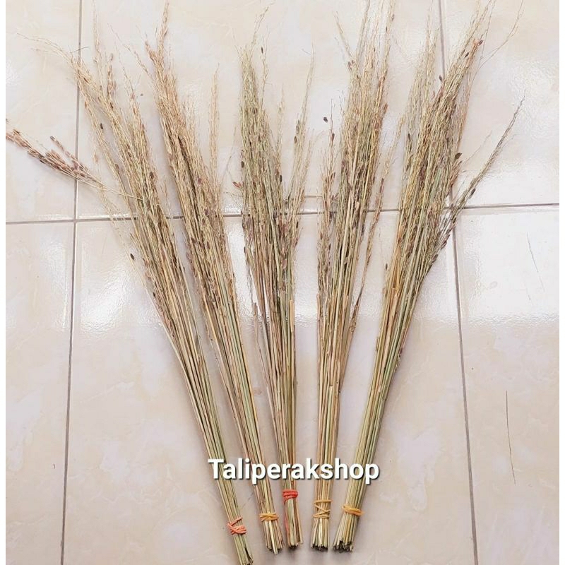 Jual Merang padi ketan hitam ASLI isi 25 batang | Shopee Indonesia