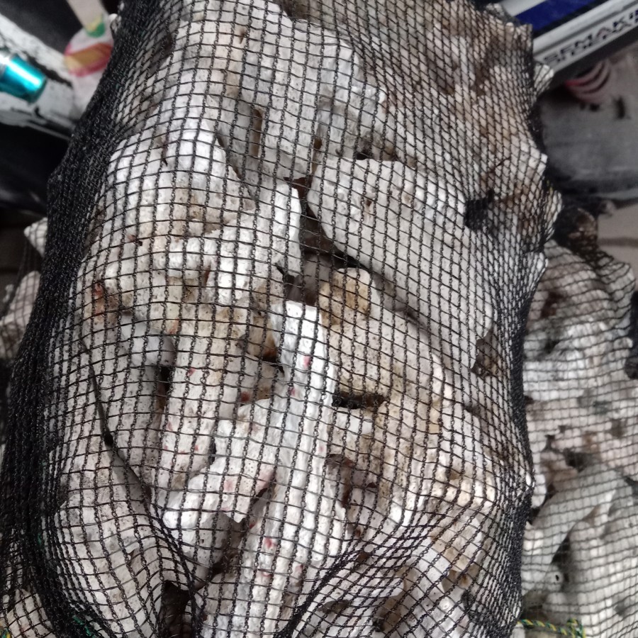 Jual MEDIA FILTER KARANG JAHE PH AIR 2 KG + WARING | Shopee Indonesia