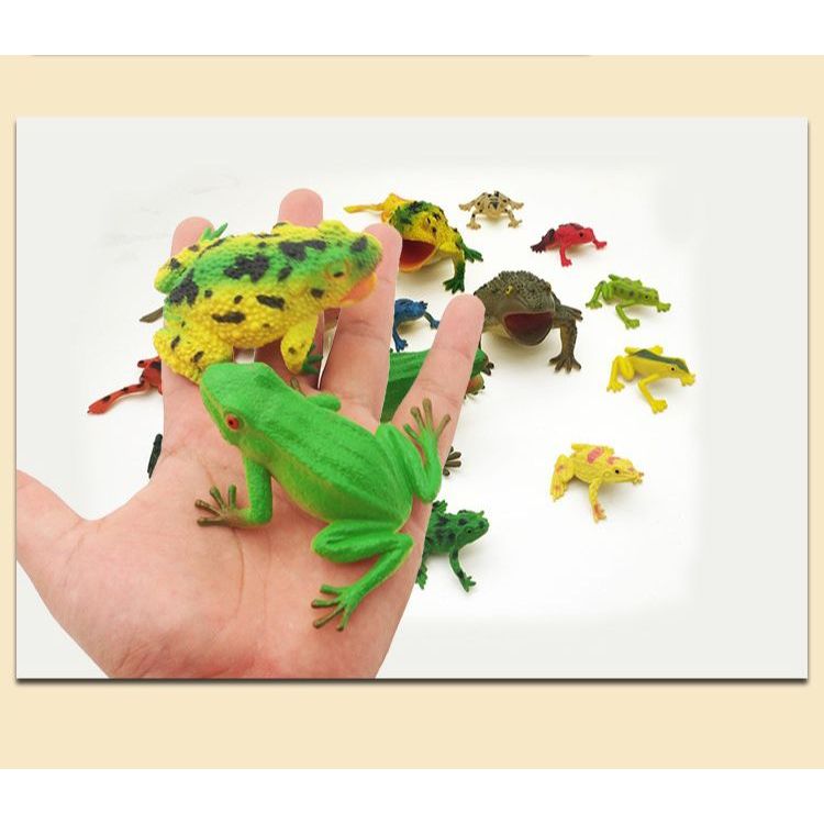 Jual MAINAN EDUKASI HABITAT AMPHIBIA KODOK KATAK UKURAN 7CM WARNA WARNI ...