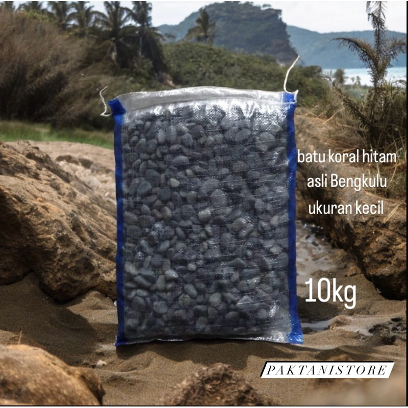 Jual BATU KORAL BENGKULU UKURAN KECIL 01 -+ 12KG CORAL HIASAN TAMAN DAN ...