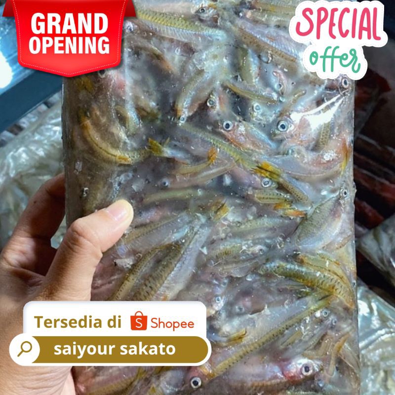 Jual Ikan Seluang Sudah Bersih 500gr - Saiyour Sakato | Shopee Indonesia