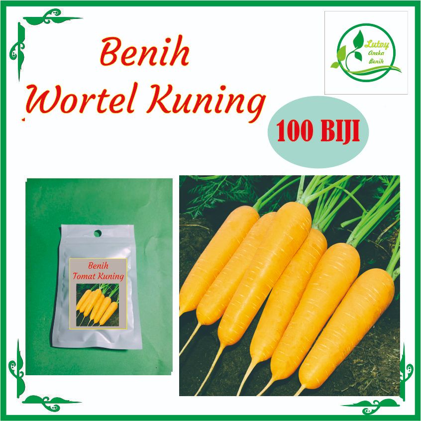 Jual BENIH WORTEL KUNING ISI 100 BIJI | Shopee Indonesia