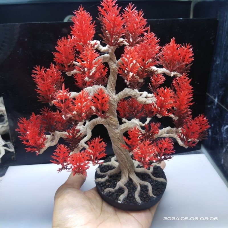 Jual Bonsai Reolika Cemara Merah Hiasan Aquascape | Shopee Indonesia