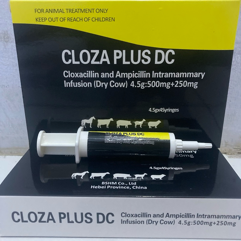 Jual CLOZA PLUS DC obat mastitis pada sapi masa kering | Shopee Indonesia