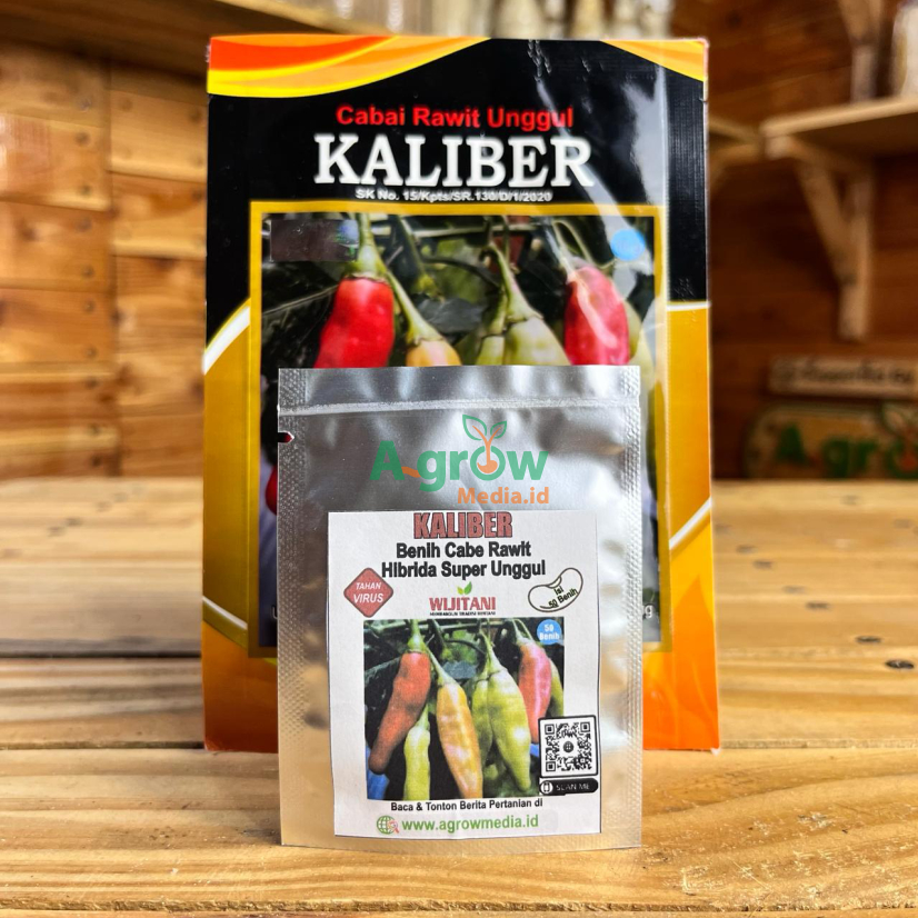 Jual Benih Cabe / Cabai Rawit Unggul KALIBER Isi 50 BUTIR Repack Bibit ...