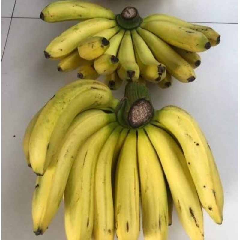 Jual Pisang Ambon Besar (1sisir) | Shopee Indonesia