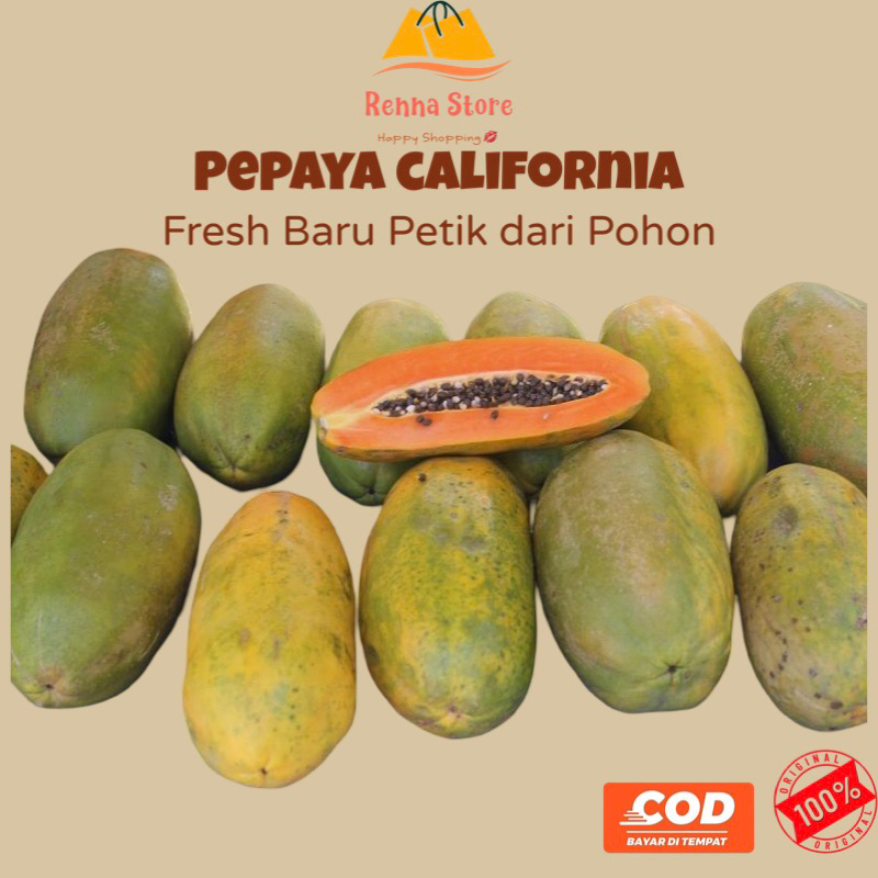 Jual PEPAYA CALIFORNIA Fresh Petik Dari Pohon 1kg & Bumbu Asinan Pedas ...
