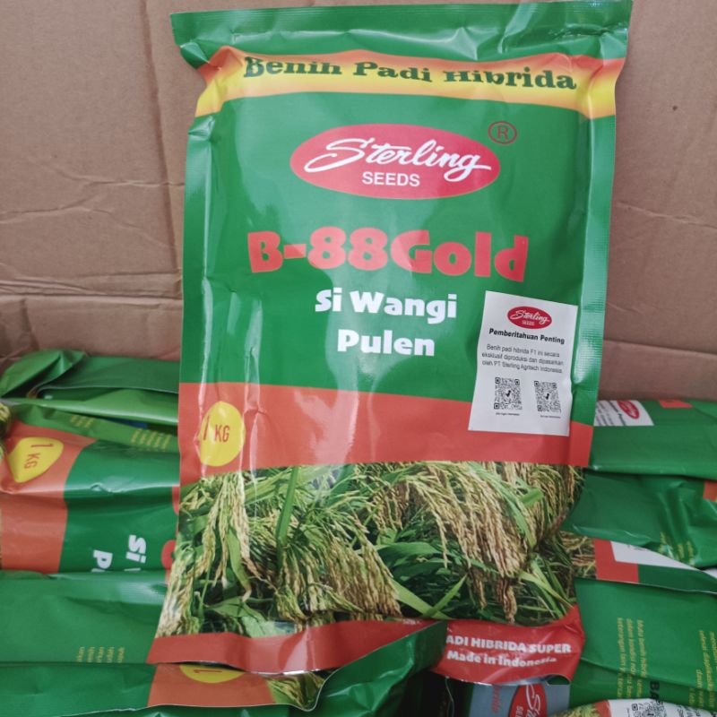 Jual Benih padi Sterling Hibrida B88 Gold pulen wangi, umur 100 hst EXP ...