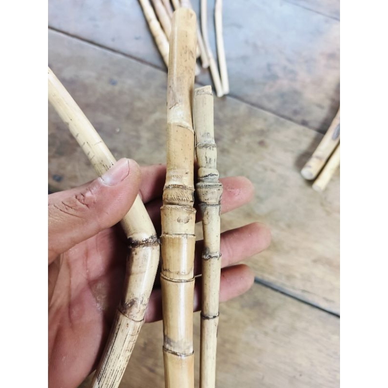 Jual ASLI Rotan temu ruas kalimantan | Shopee Indonesia