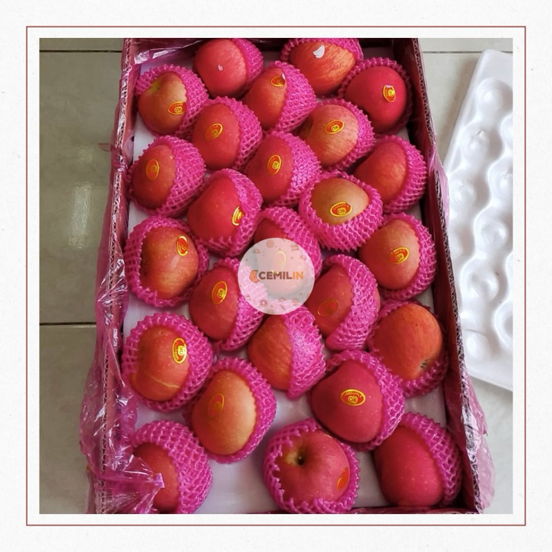 Jual Buah Apel Fuji Apel Jus Apel Juice 1 Dus Karton Fresh Impor ±17KG ...
