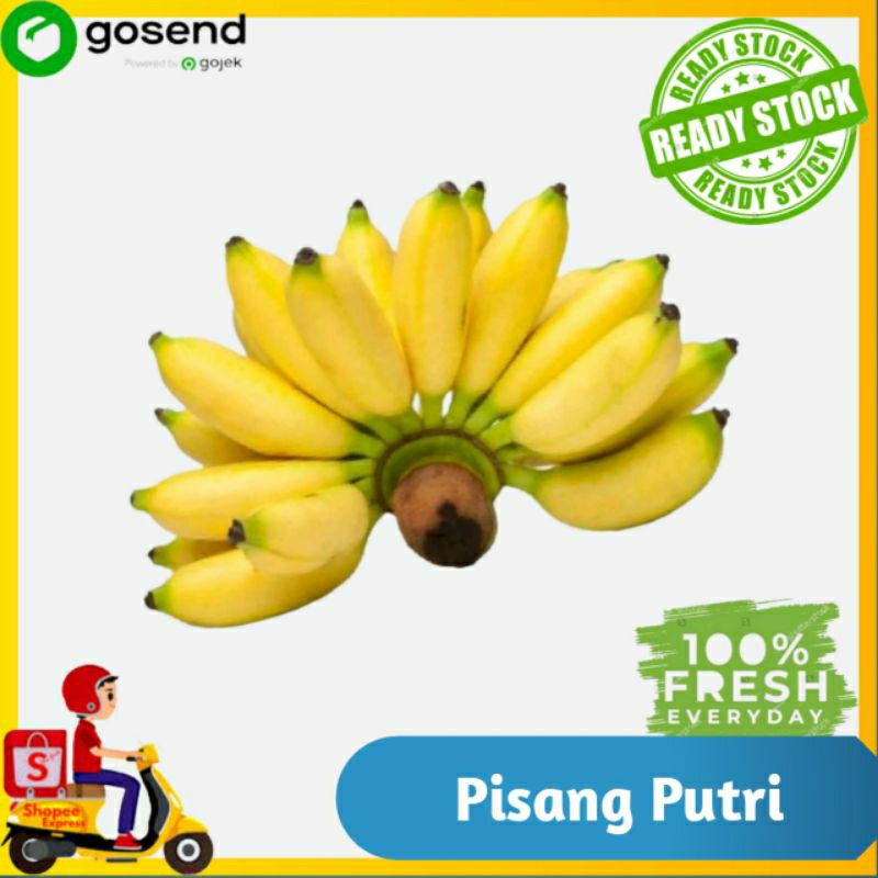 Jual Buah Pisang Putri Per sisir -Toko Sayur Online Palembang | Shopee ...
