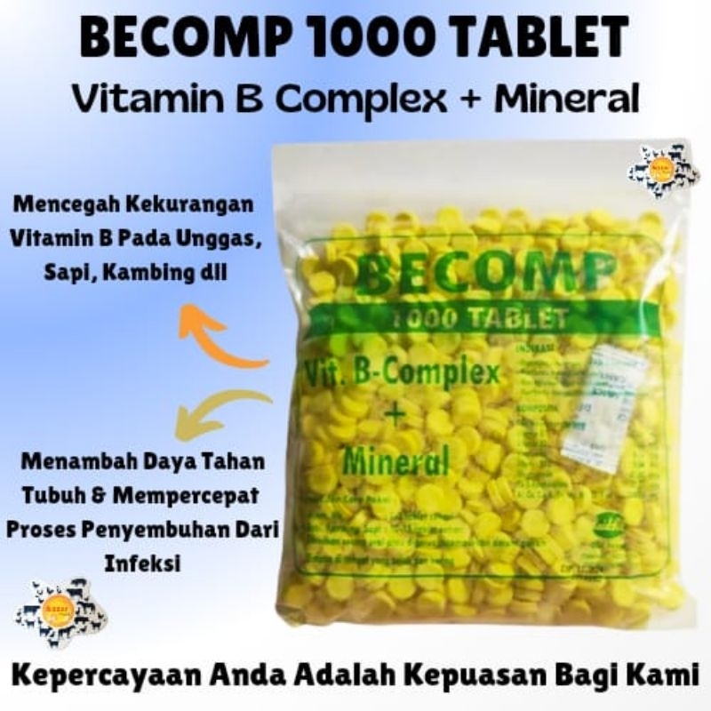 Jual BECOMP 1000 TABLET VITAMIN B COMPLEX MINERAL BCOMP UNGGAS AYAM BEBEK SAPI | Shopee Indonesia