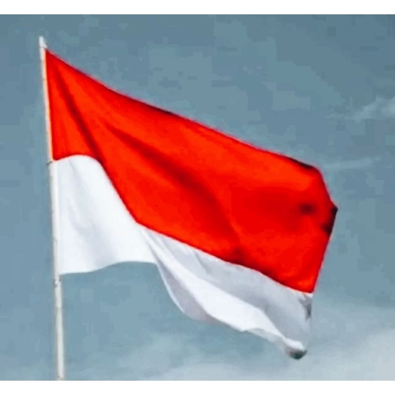 Jual BENDERA MERAH PUTIH UKURAN 150X100 BENDERA INDONESIA | Shopee ...