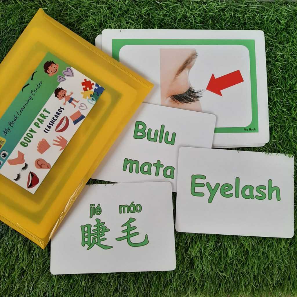 Jual Kartu Mainan Edukasi Anak // Flashcards SIZE JUMBO Tema Anggota ...