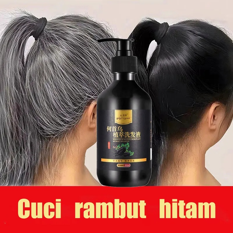 Jual Sampo Penghilang Uban Shampoo Black Herbal Natural Polygonum ...