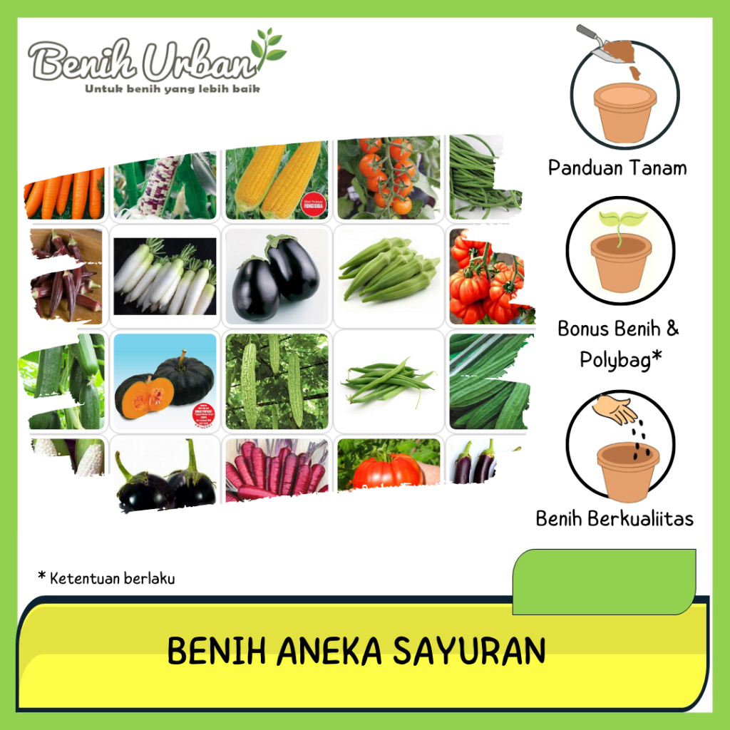 Jual Aneka Benih Sayur Sayuran Buah Varietas Unggul Bibit Tanaman ...